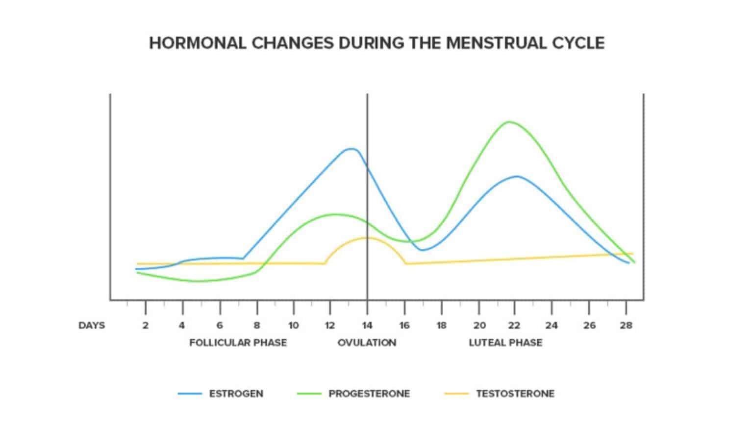 What to Eat to Get My Period Back: Essentials. - Dietitian UK